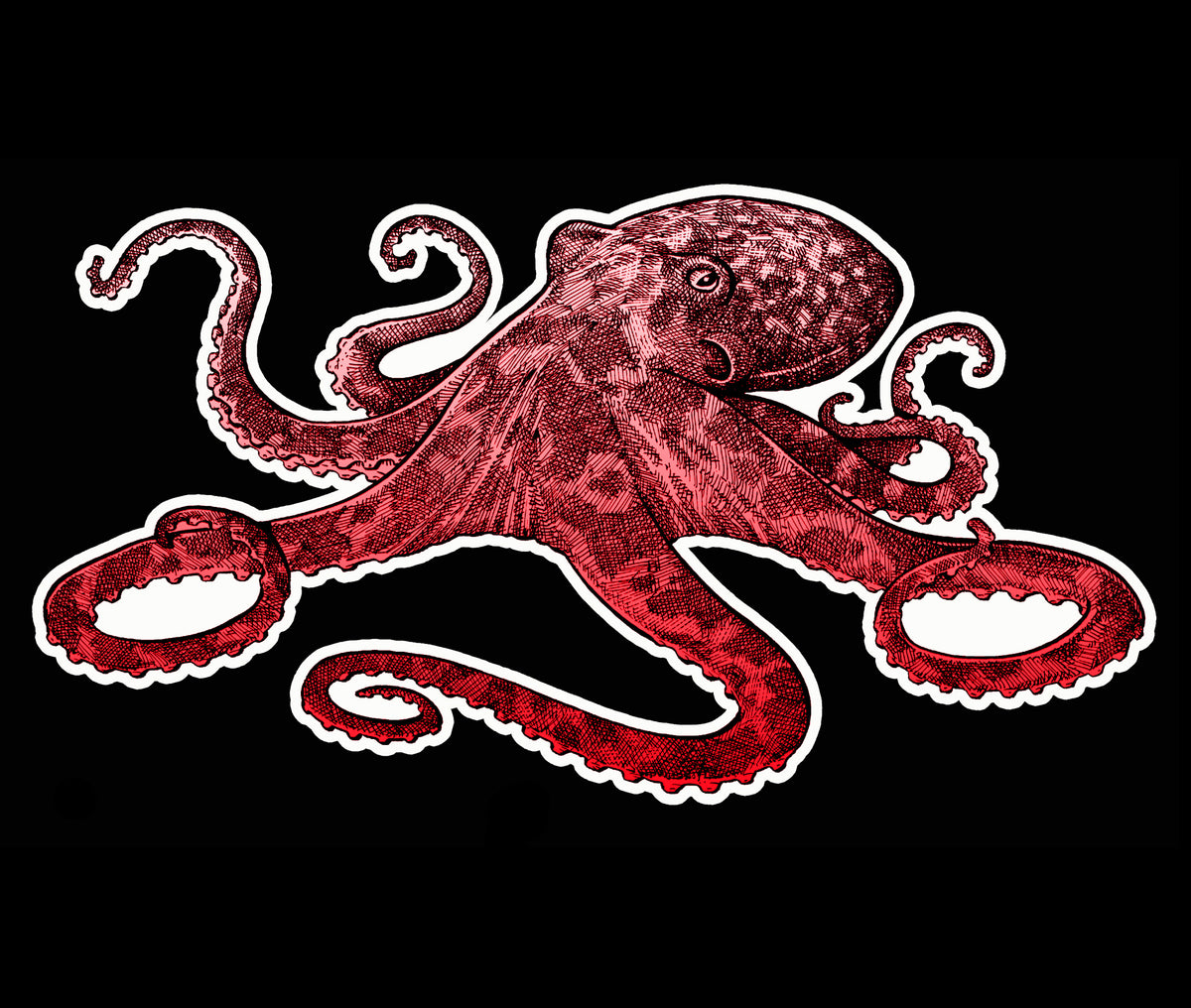 TAKO STICKER – Good Living Hawaii Co